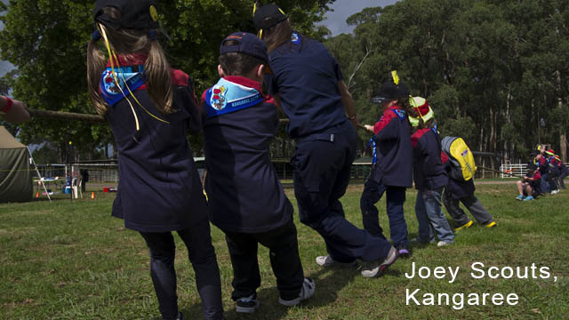 8th Knox Scout Group